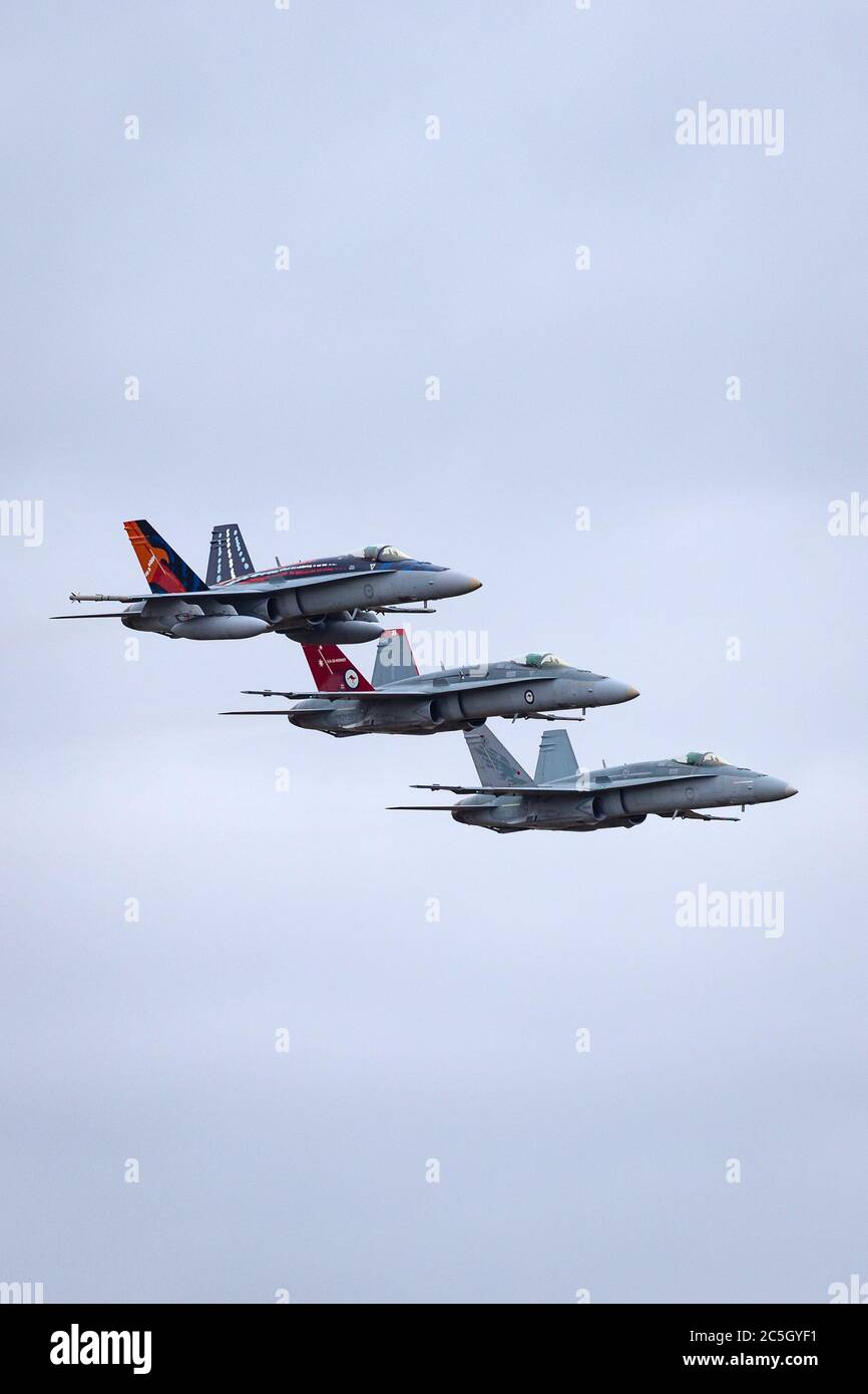 Worimi hornet hi-res stock photography and images - Alamy