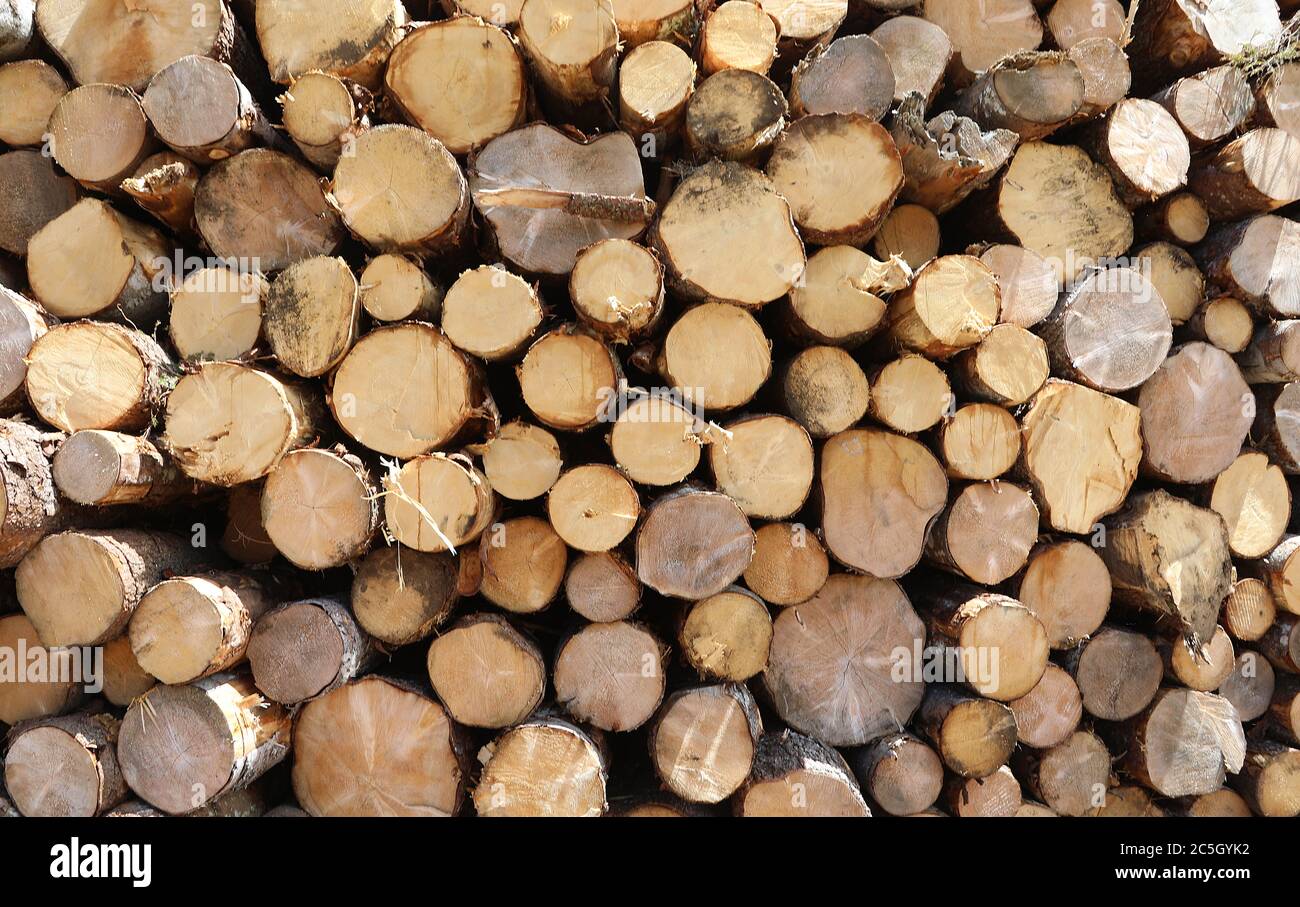 Sawmill in the woods hi-res stock photography and images - Alamy