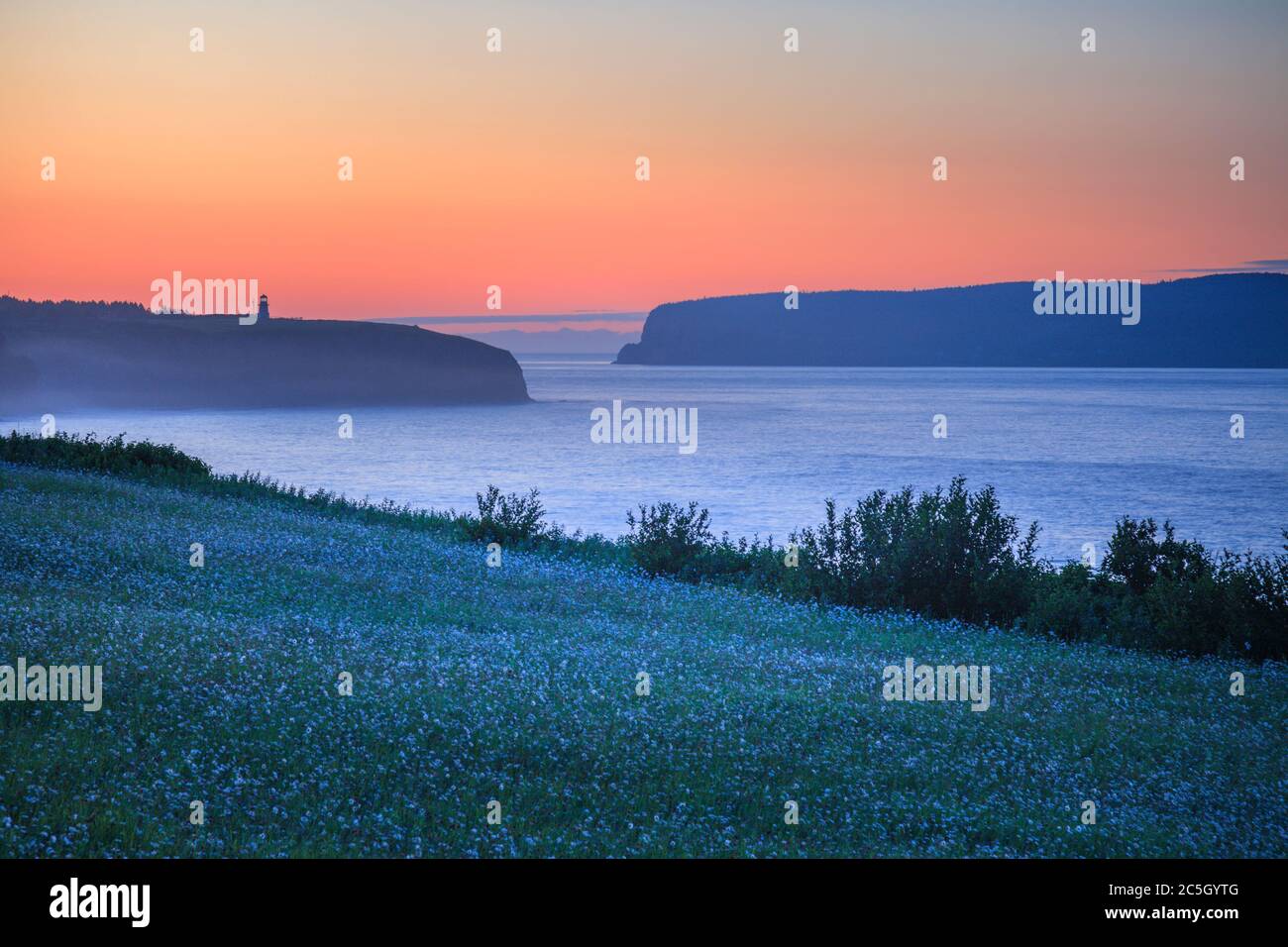Cap Blanc Lighthouse at night. Quebec, Canada Stock Photo - Alamy