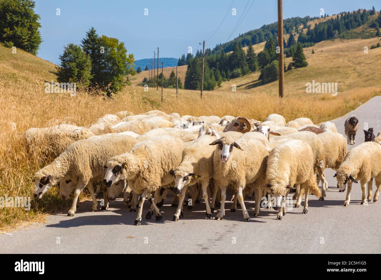 Village of belgrade hi-res stock photography and images - Alamy