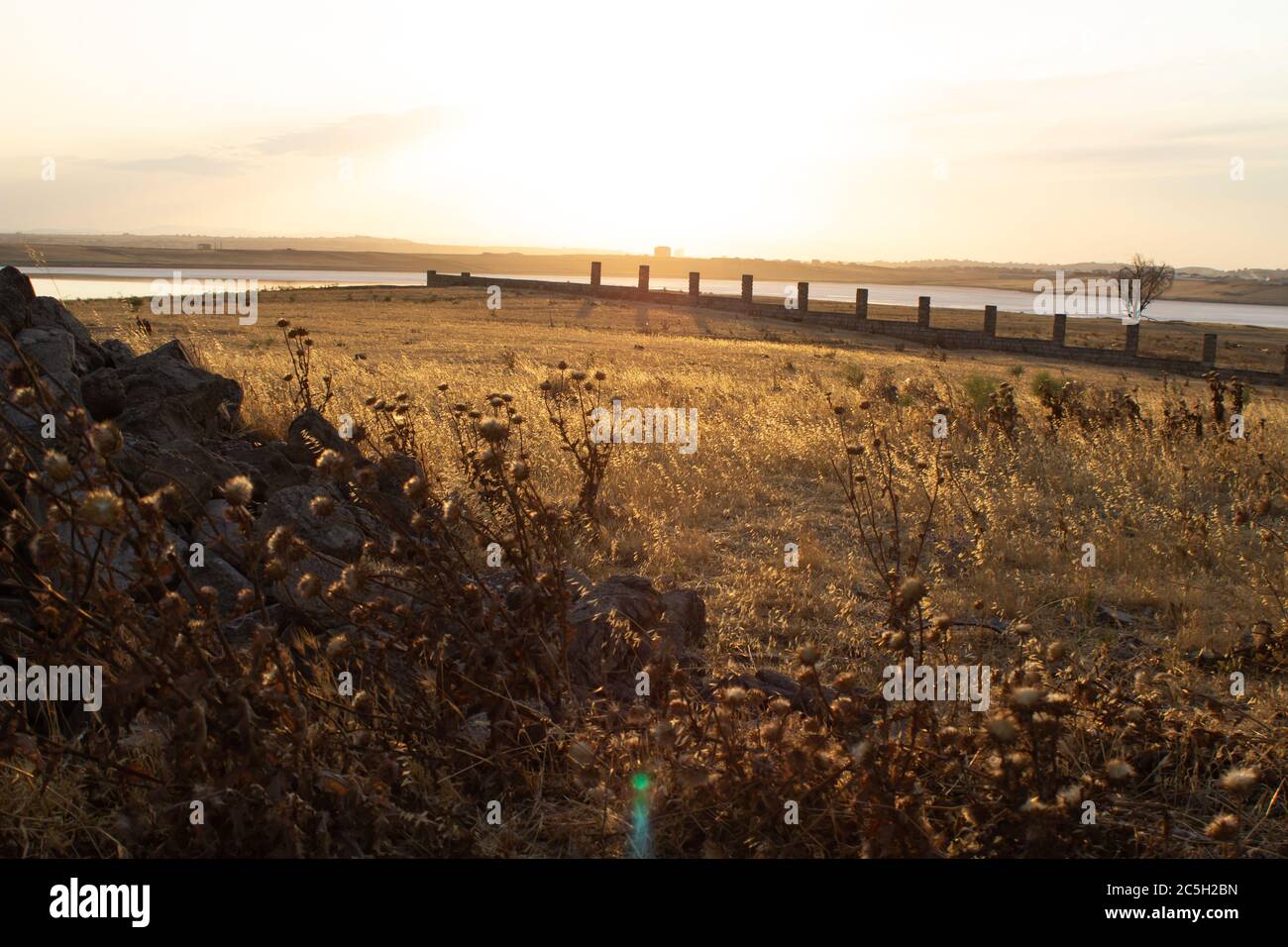 Agriculture field salt hi-res stock photography and images - Alamy