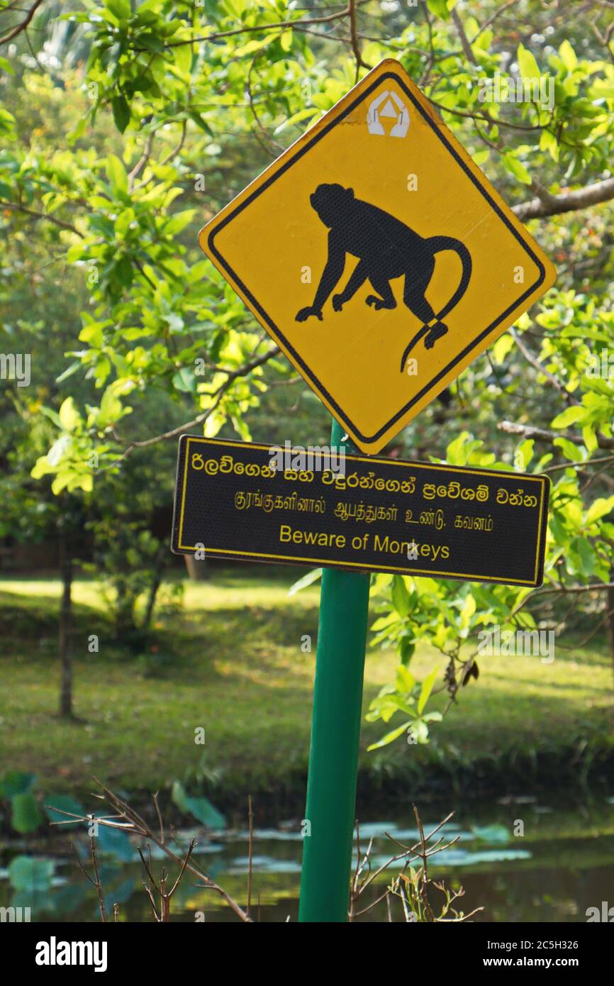Warning against monkeys on Sri Lanka,Asia Stock Photo - Alamy