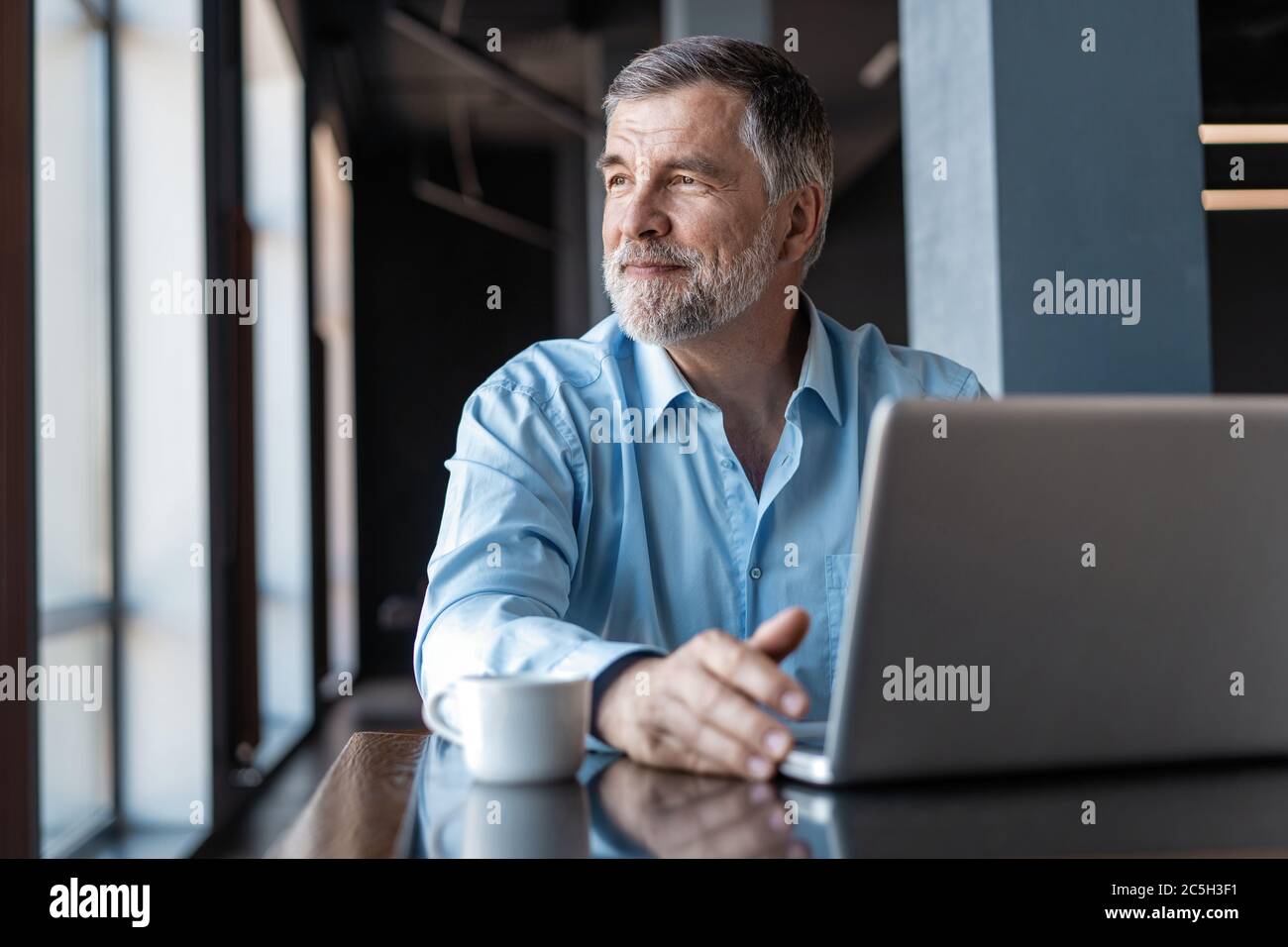 Mature businessman working on laptop. Handsome mature business leader sitting in a modern office ...