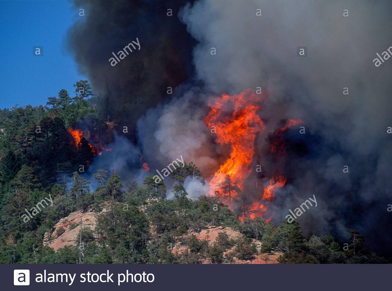 Big Crown High Resolution Stock Photography and Images - Alamy