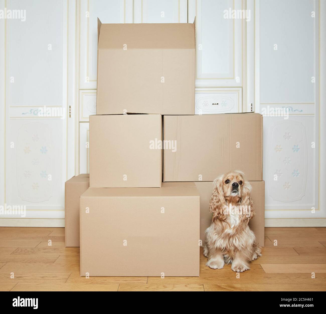 moving boxes. cardboard box. stack of boxes Stock Photo - Alamy