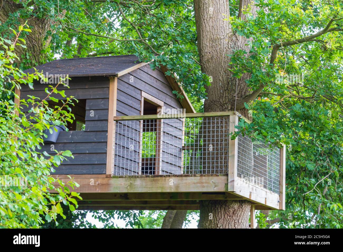 Child hiding between trees hi-res stock photography and images - Alamy