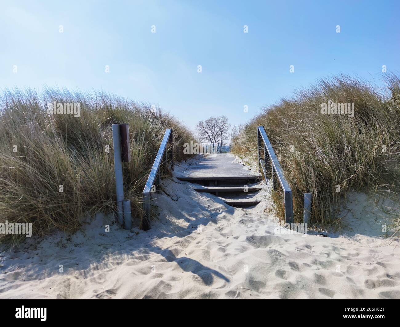 Photo of dunes and white sand beach at German shore of Baltic sea Stock ...