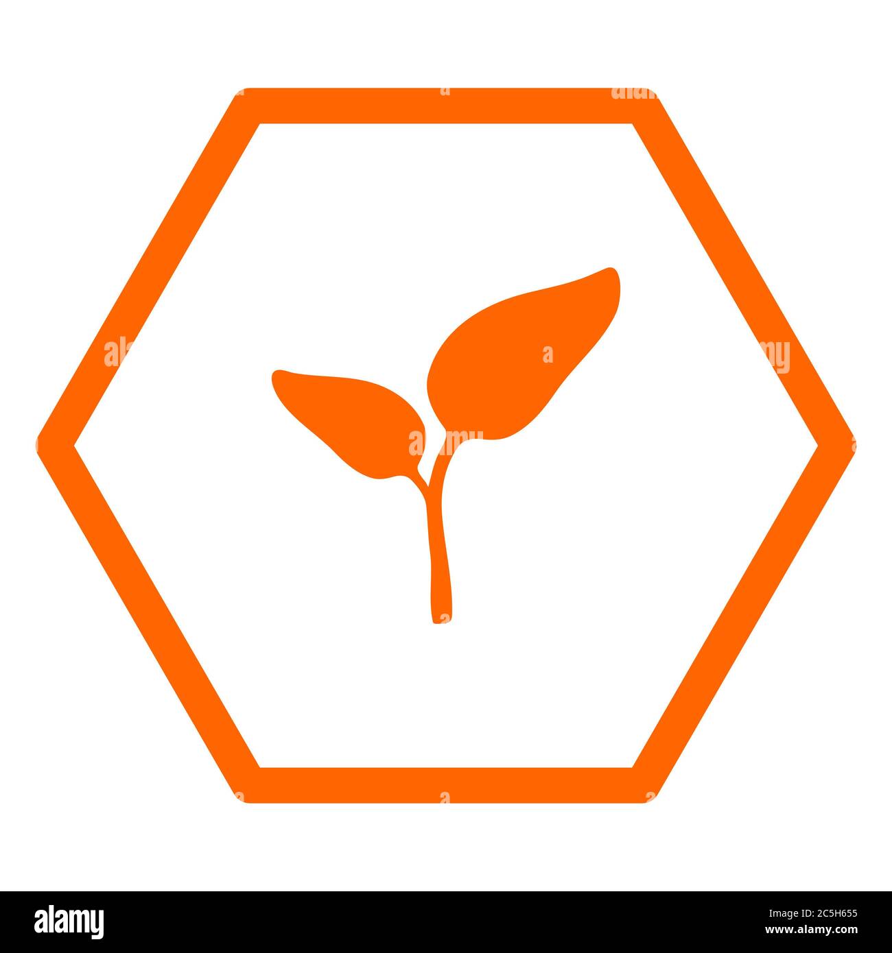 Plant and hexagon Stock Photo - Alamy