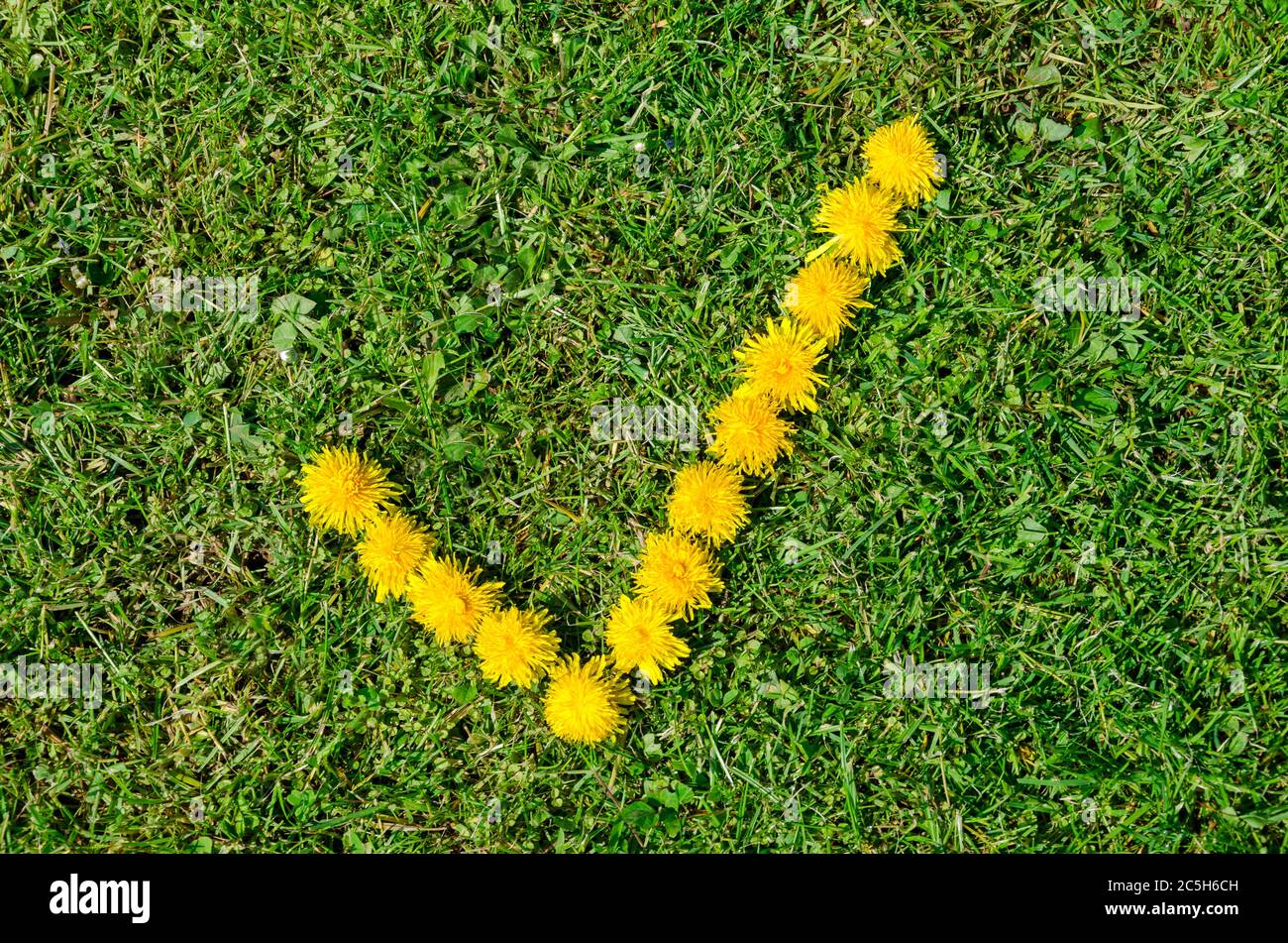 Check mark green hi-res stock photography and images - Alamy