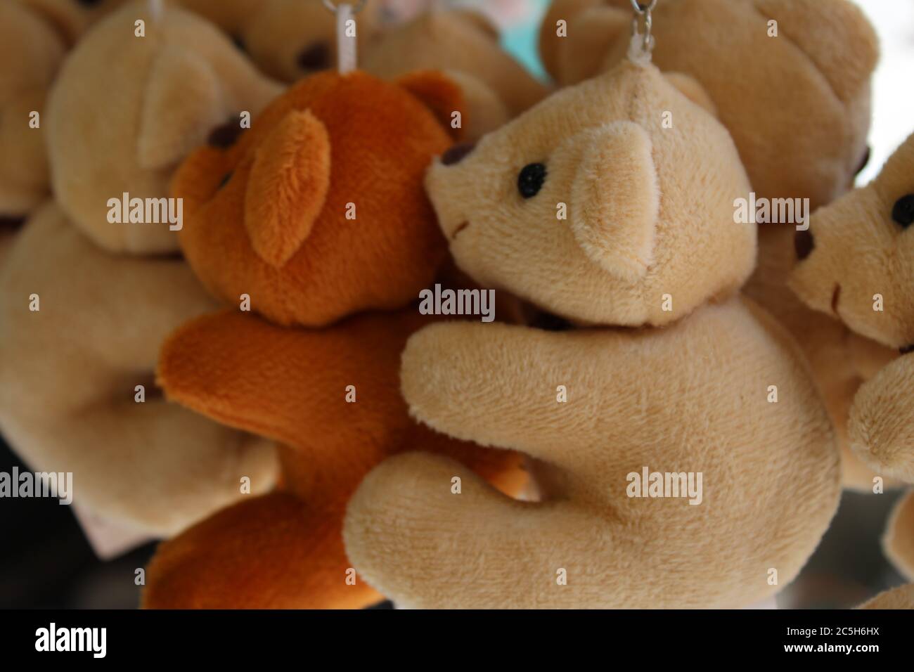 teddy bears children toys in different color Stock Photo - Alamy