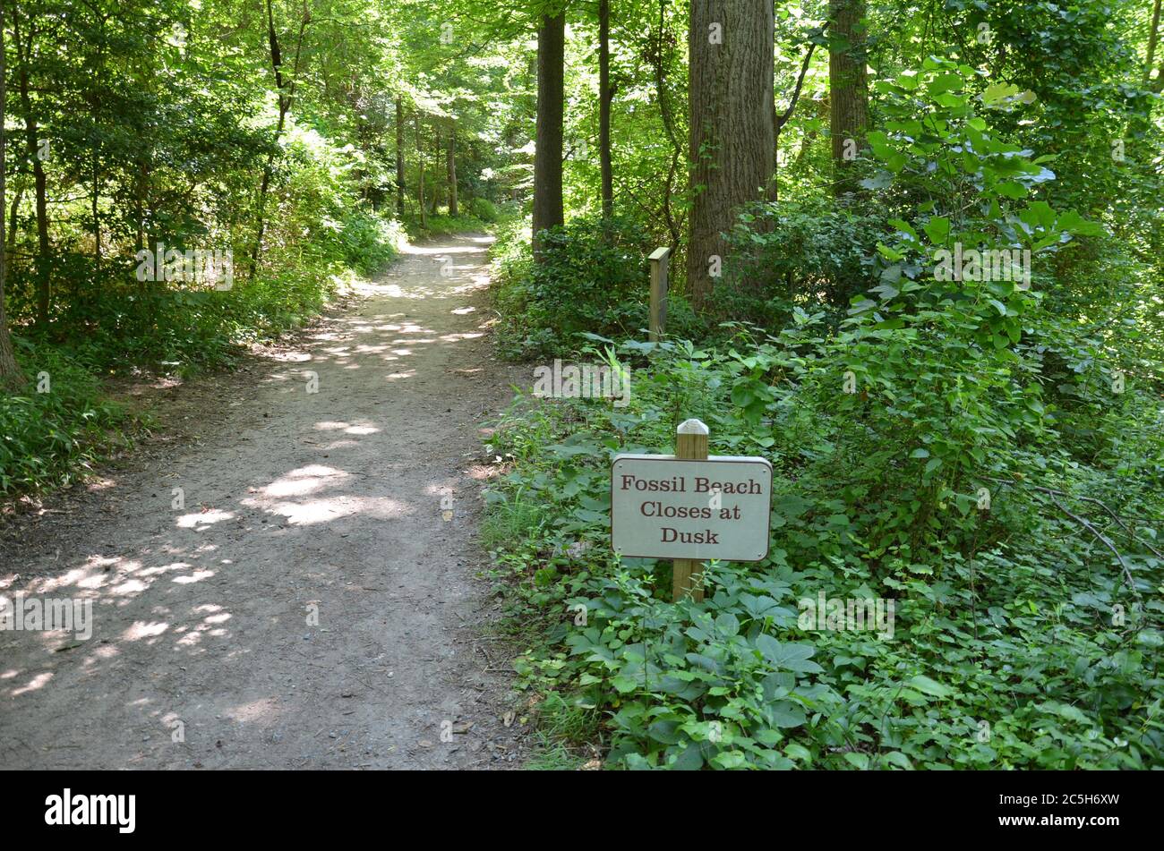 Sign for fossils hi-res stock photography and images - Alamy