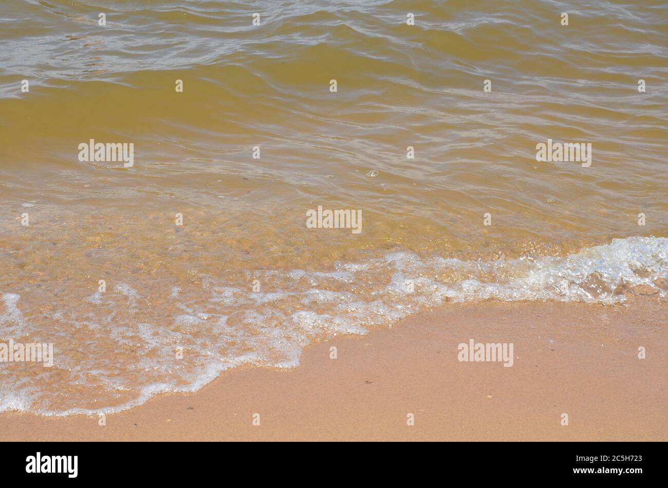 wet sand on beach with waves and shells and pebbles Stock Photo - Alamy