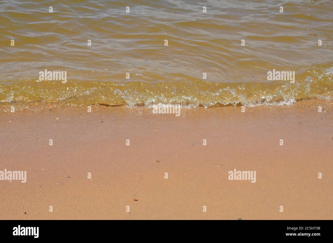 wet sand on beach with waves and shells and pebbles Stock Photo - Alamy