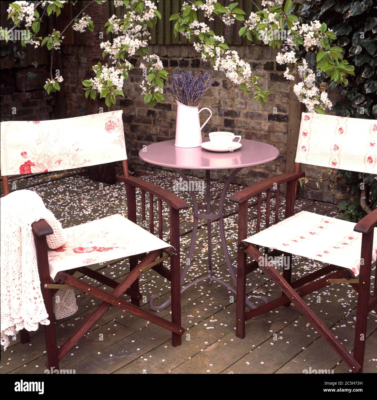Table Chair Under Tree In High Resolution Stock Photography and Images ...