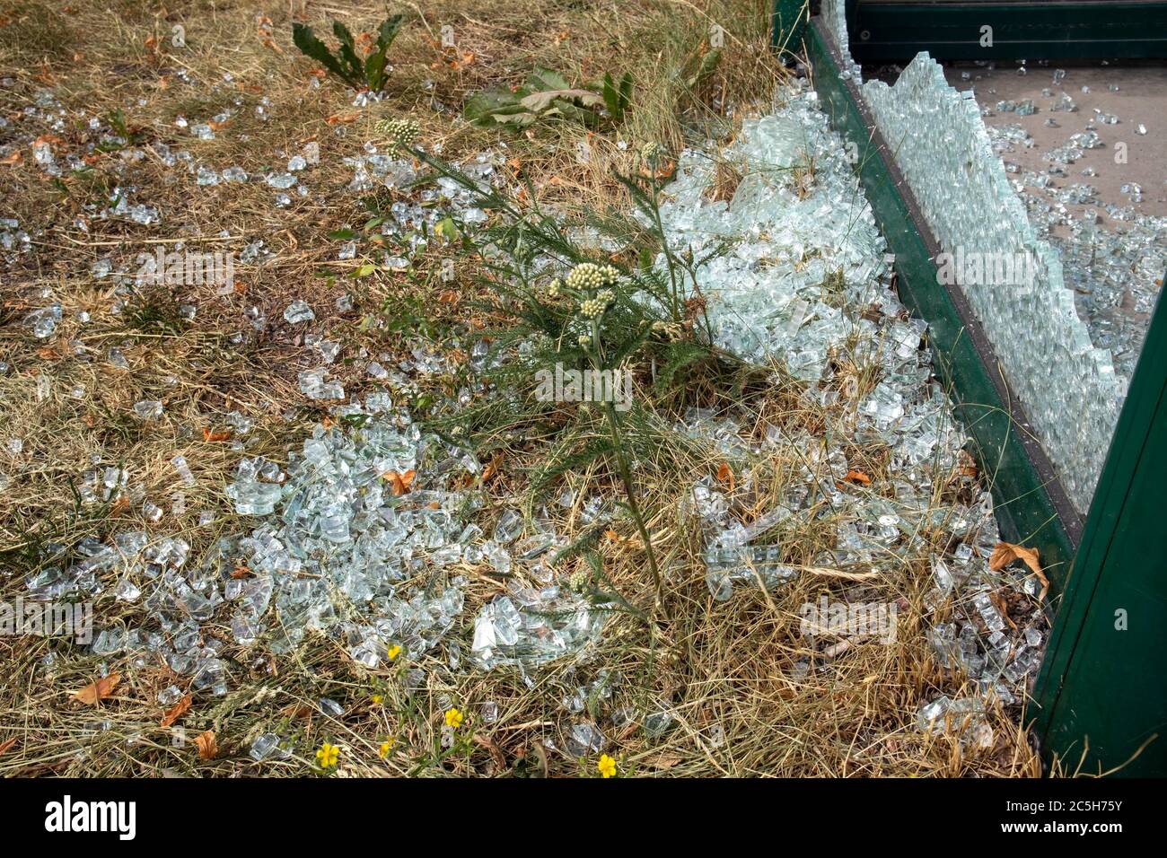 broken glass at a train station platform shelter Stock Photo - Alamy