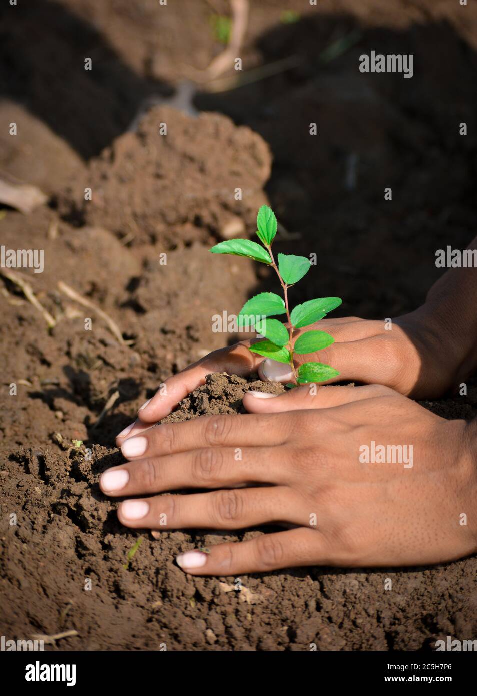 Farmer hand planting young tree on back soil as care and save wold ...
