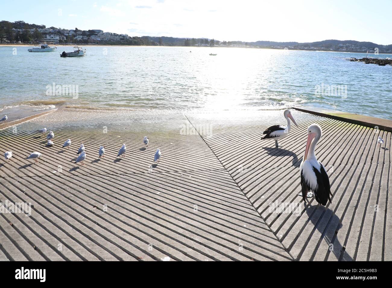 Terrigal boat ramp hi-res stock photography and images - Alamy