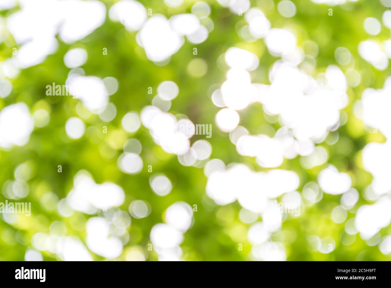 Background: nature spring bokeh Stock Photo - Alamy