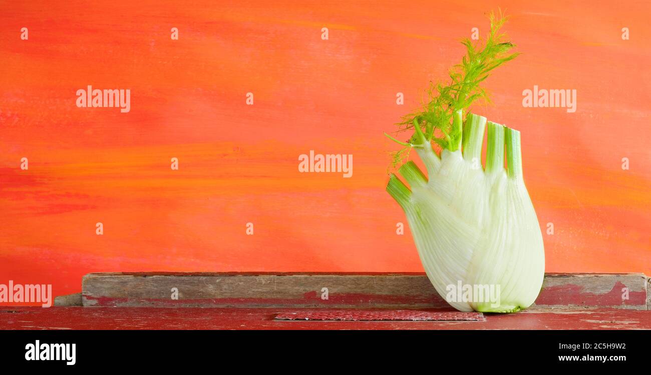 fresh fennel on red background, free copy space Stock Photo - Alamy