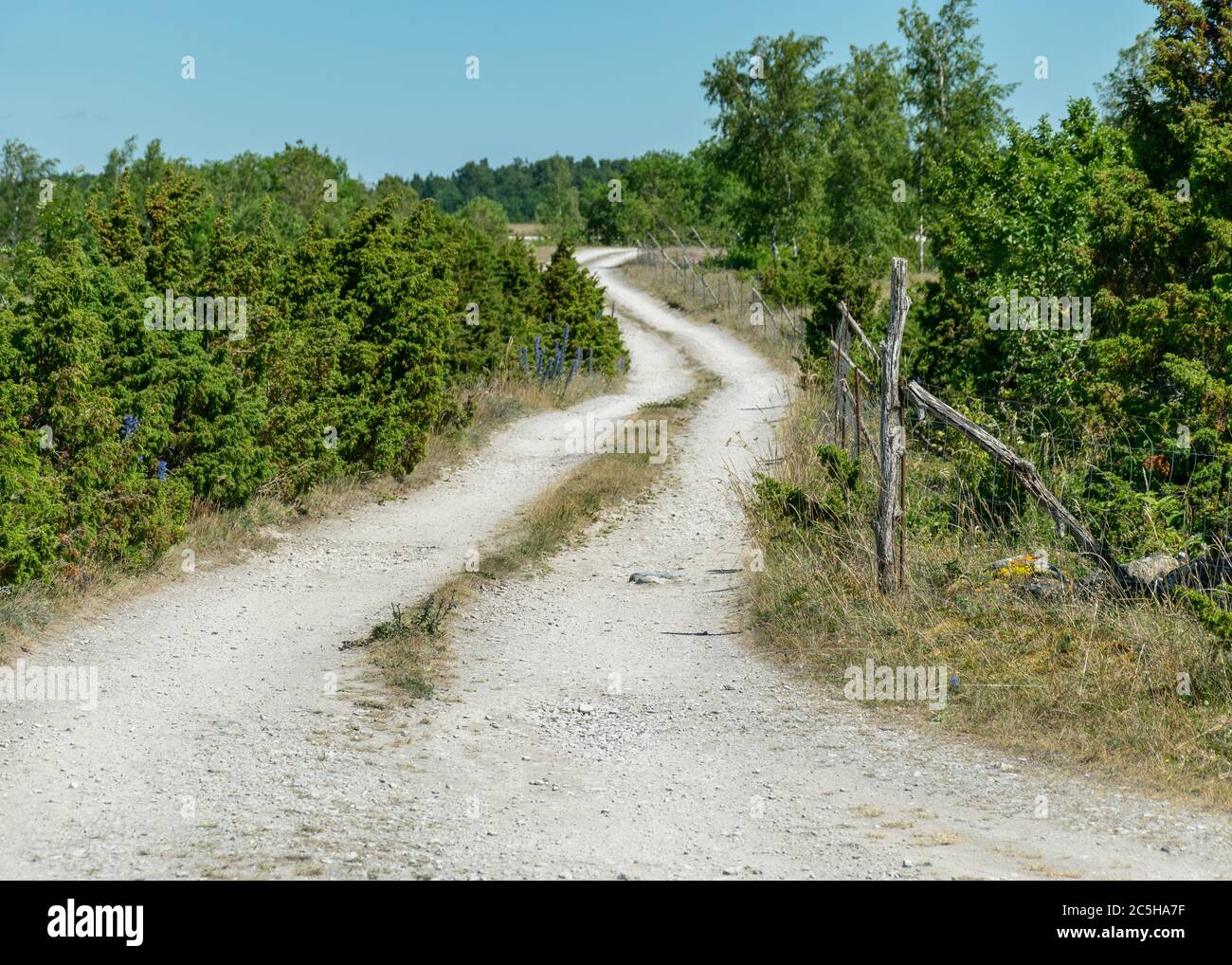 Pebble road hi-res stock photography and images - Alamy