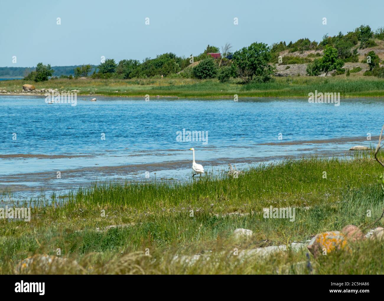 landscape with traditional coastal view, Saaremaa Island, Estonia Stock ...