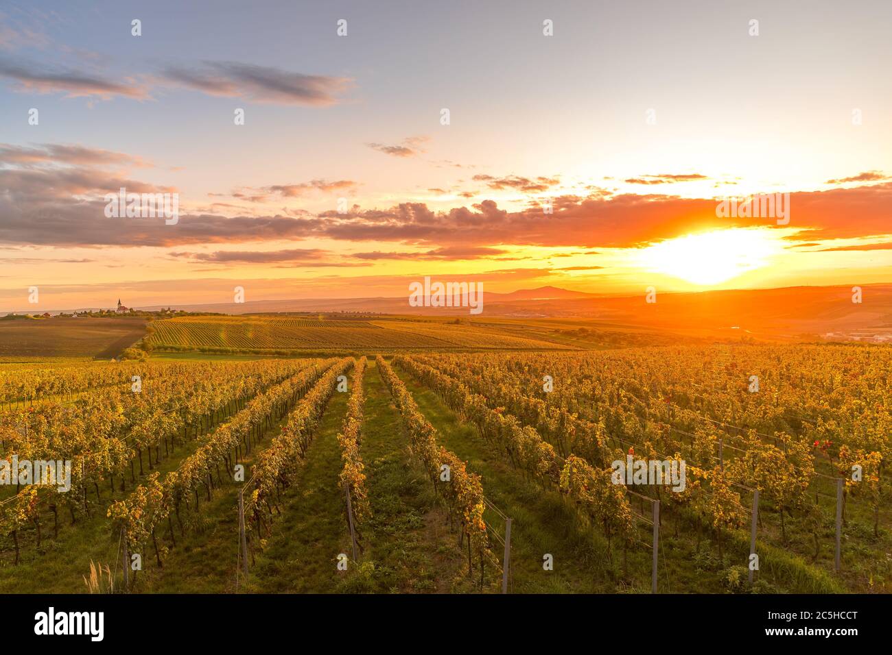 Aerial fruit cultivation valley hi-res stock photography and images - Alamy