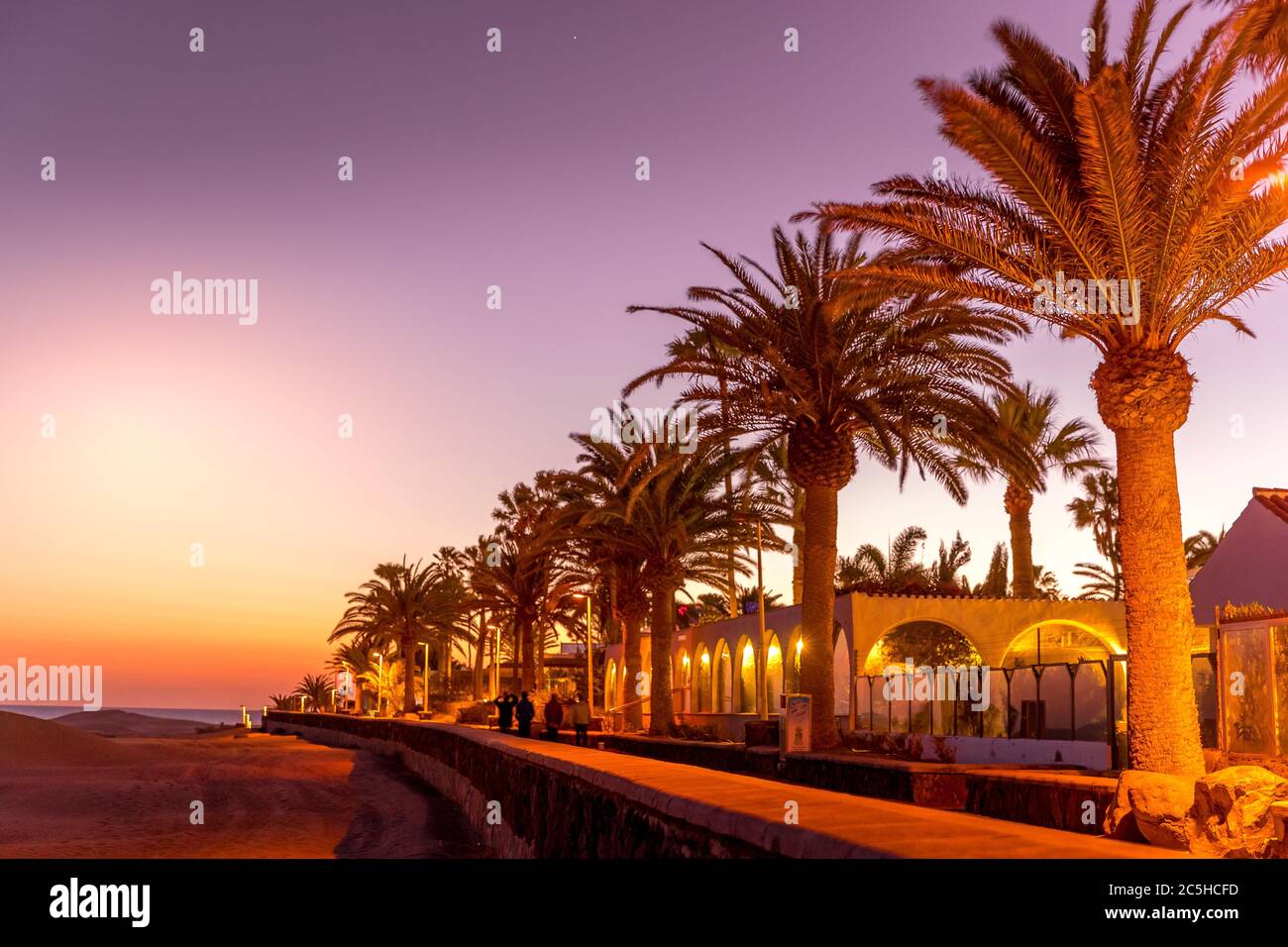 Coconut on beach moving wind hi-res stock photography and images - Alamy