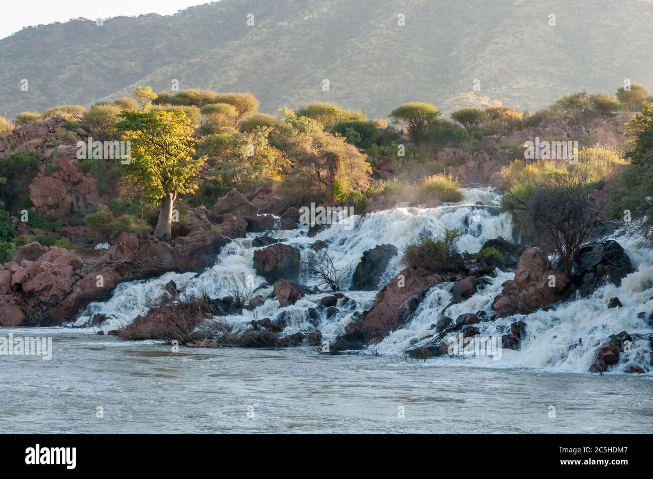 Part of the Epupa waterfalls in the Kunene River. A baobab tree is ...