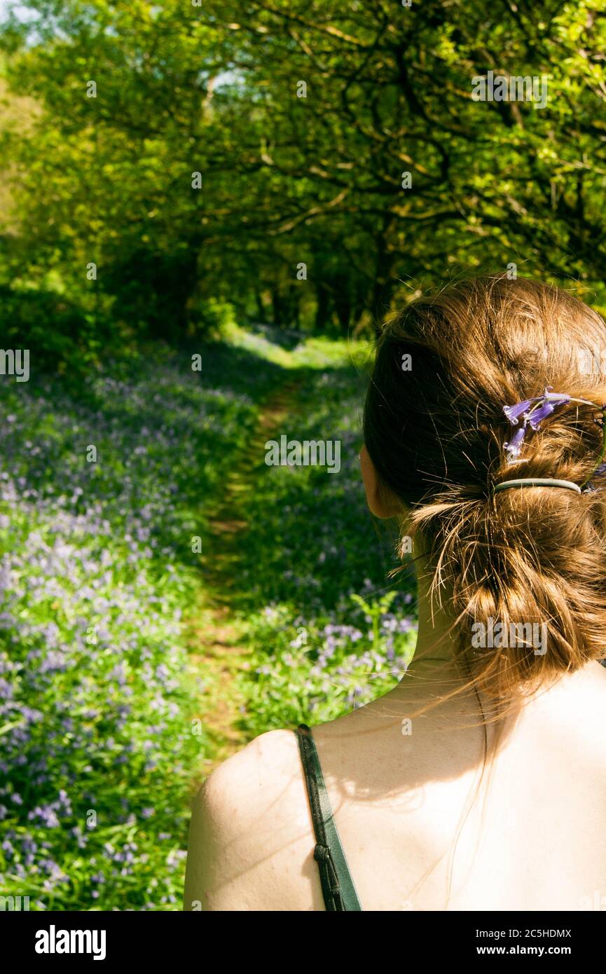 Bluebell countryside hi-res stock photography and images - Alamy