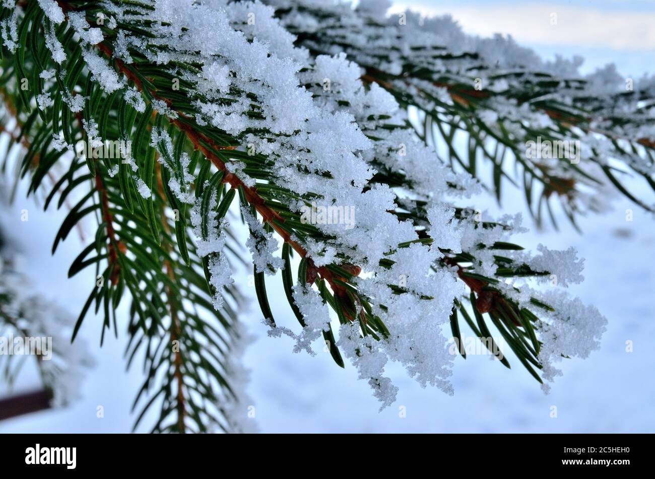 Winter in transylvania hi-res stock photography and images - Alamy