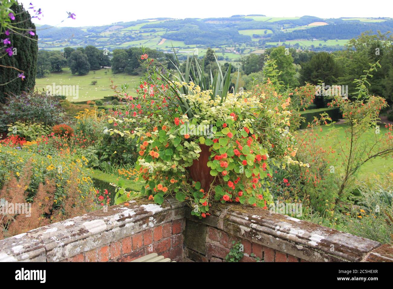 Powis castle terraced gardens hi-res stock photography and images - Alamy