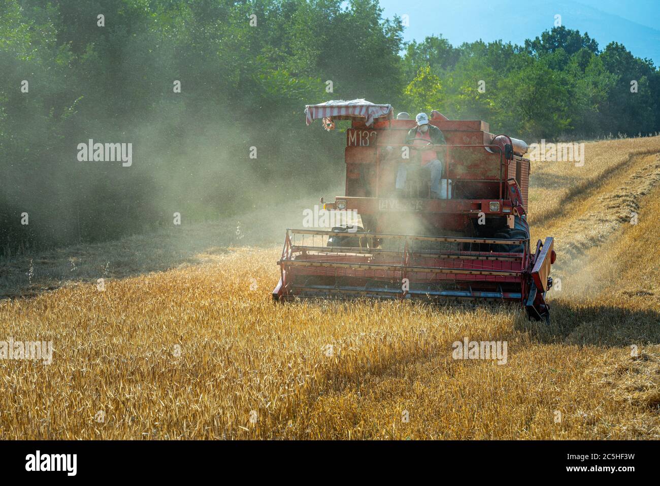 Barley straw threshing hi-res stock photography and images - Alamy