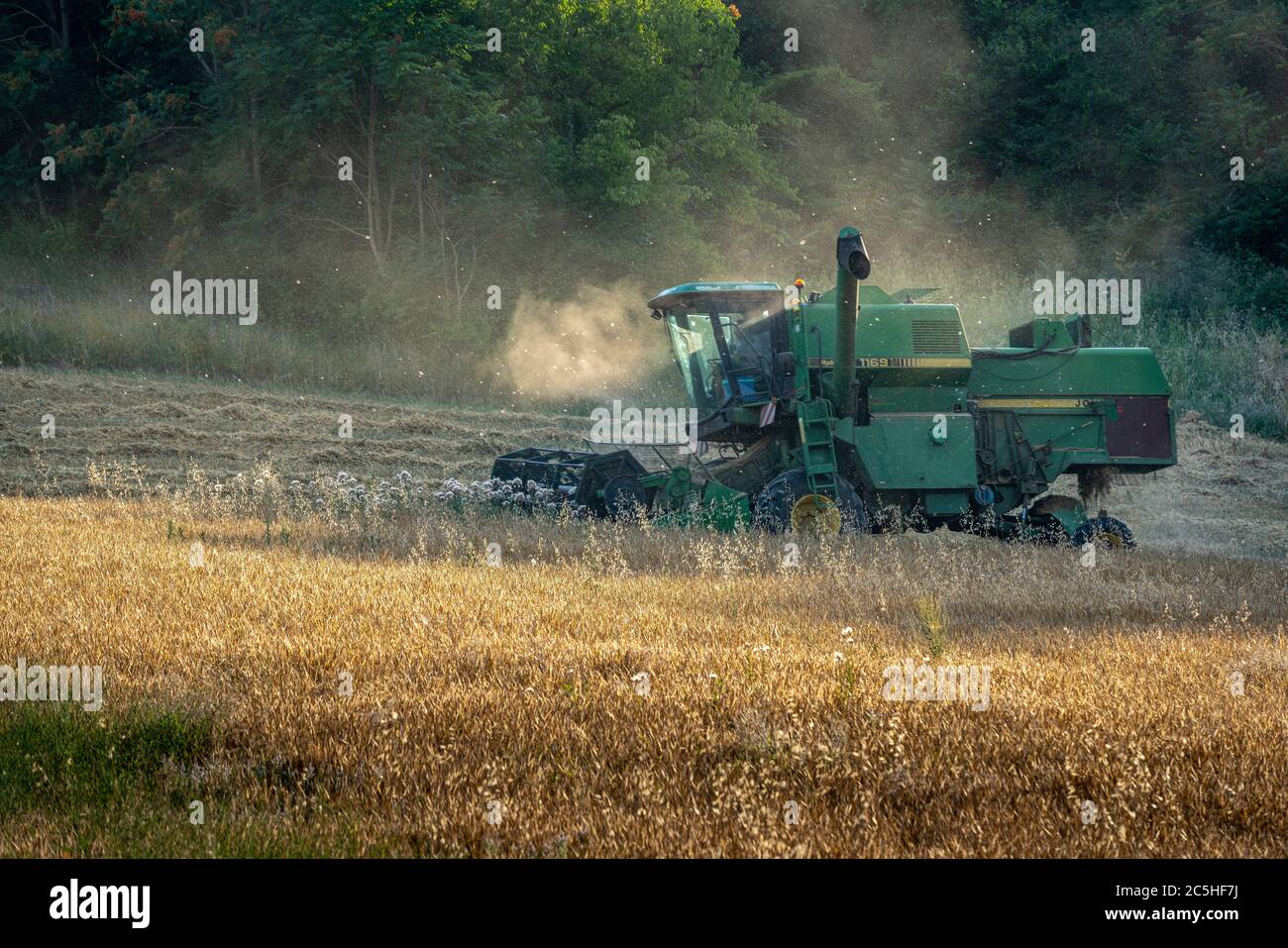 Barley threshing hi-res stock photography and images - Alamy
