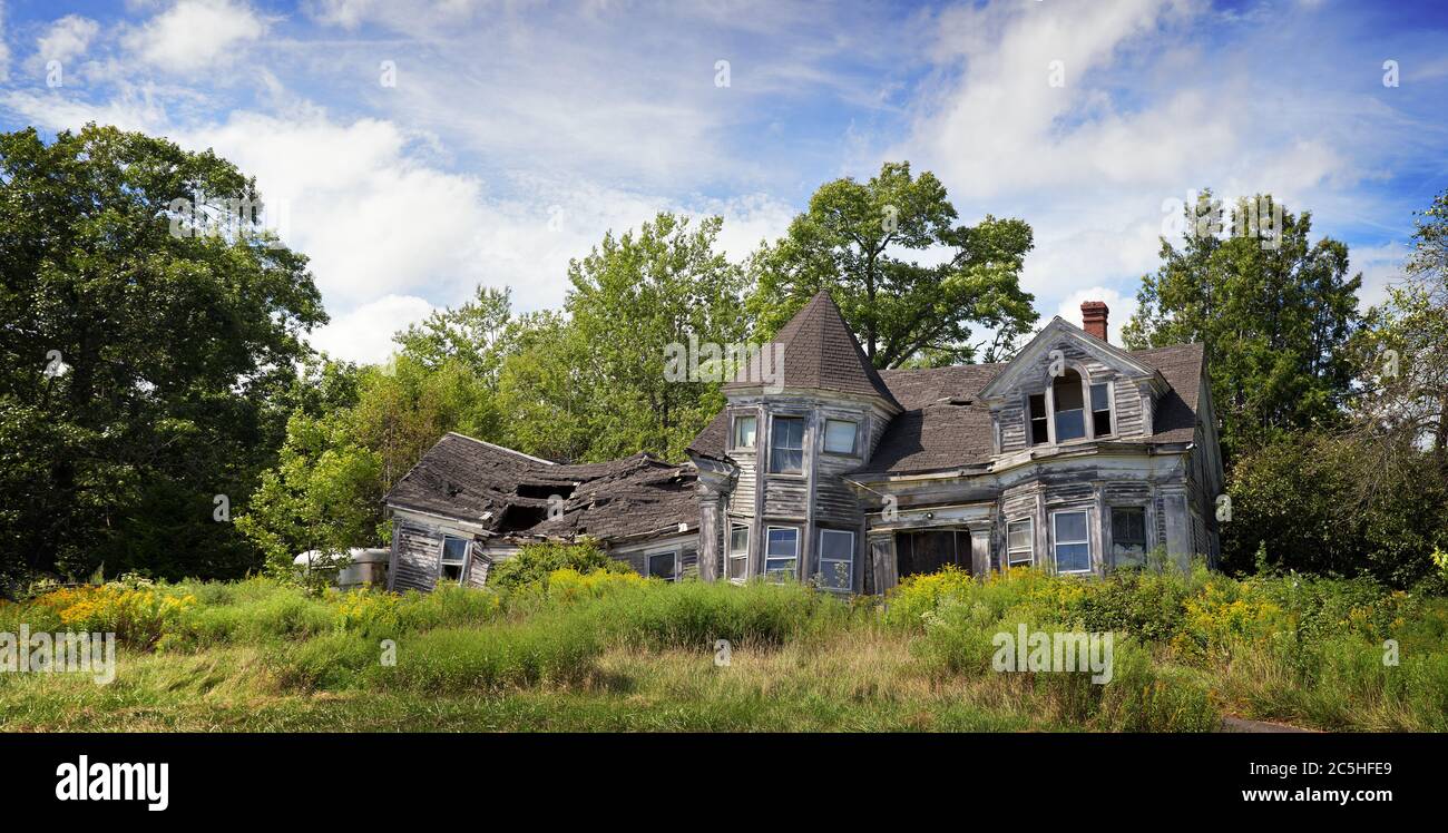 Fallin tree hi-res stock photography and images - Alamy