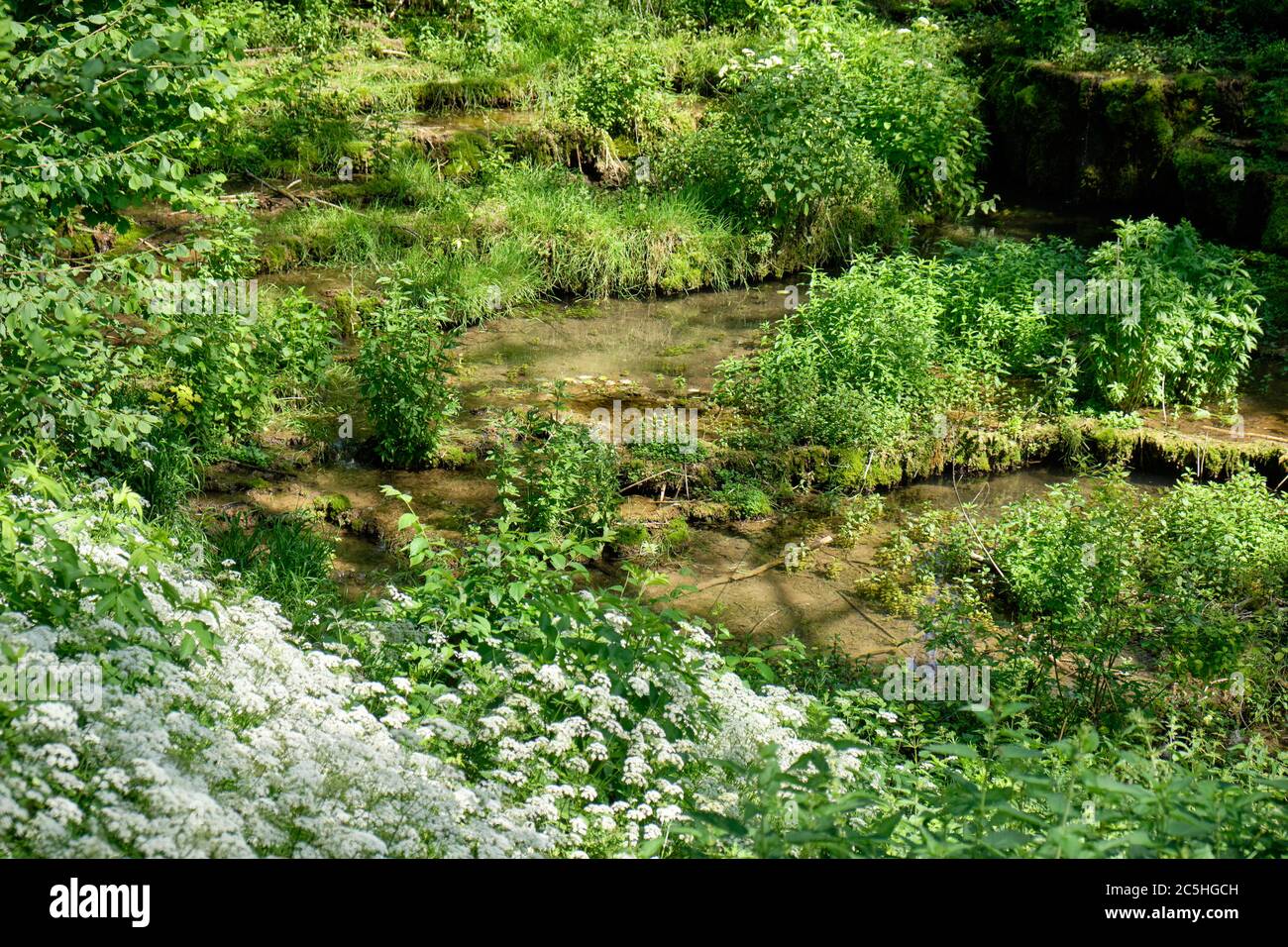 Sinter terraces hi-res stock photography and images - Alamy