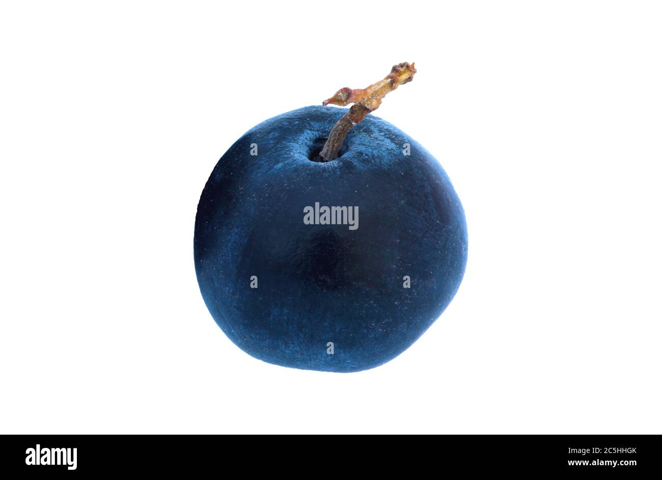 Blueberry cut out and isolated on a white background Stock Photo - Alamy