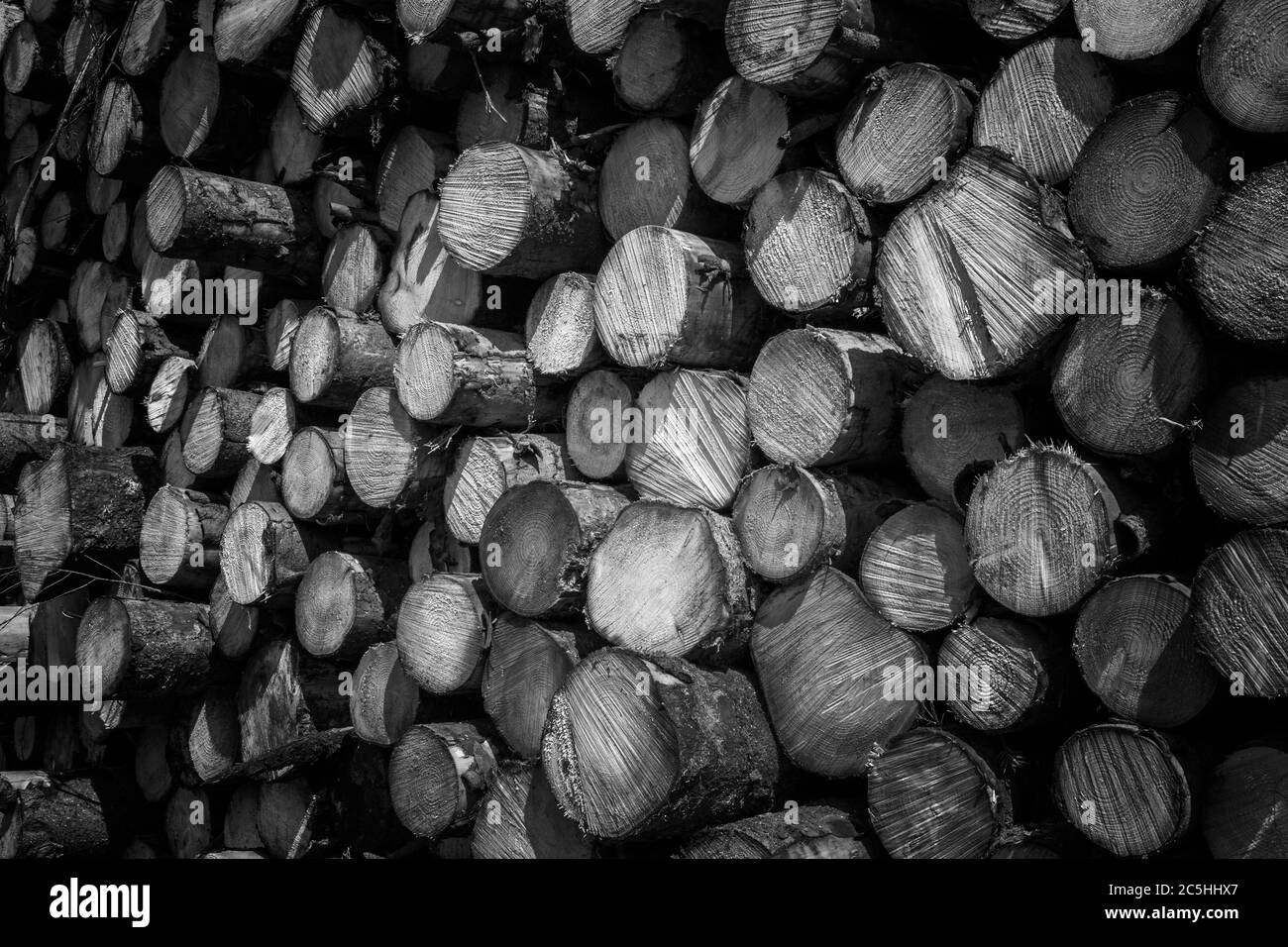 Sawmill Black and White Stock Photos & Images - Alamy