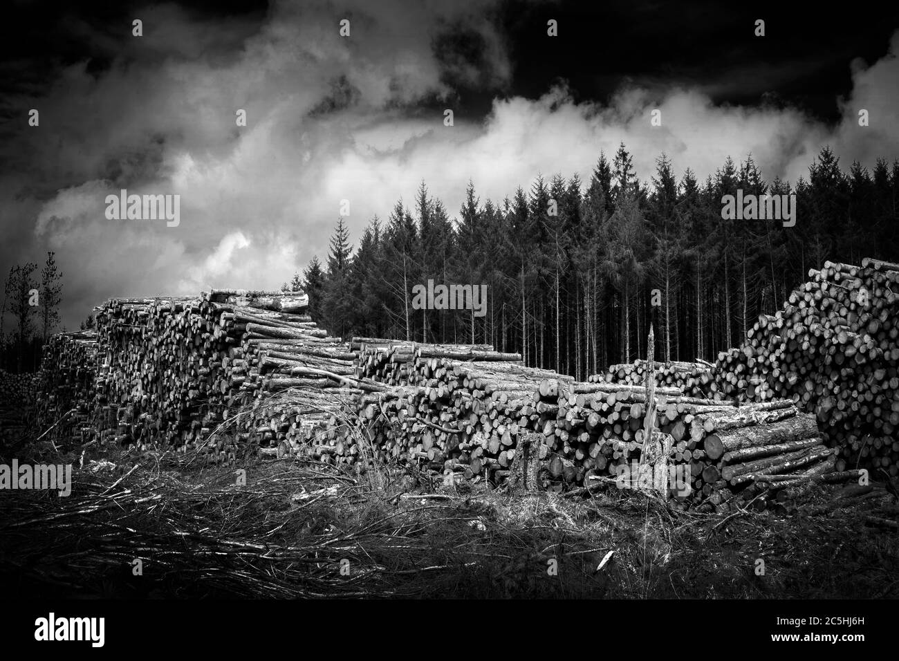 Sawmill Black and White Stock Photos & Images - Alamy