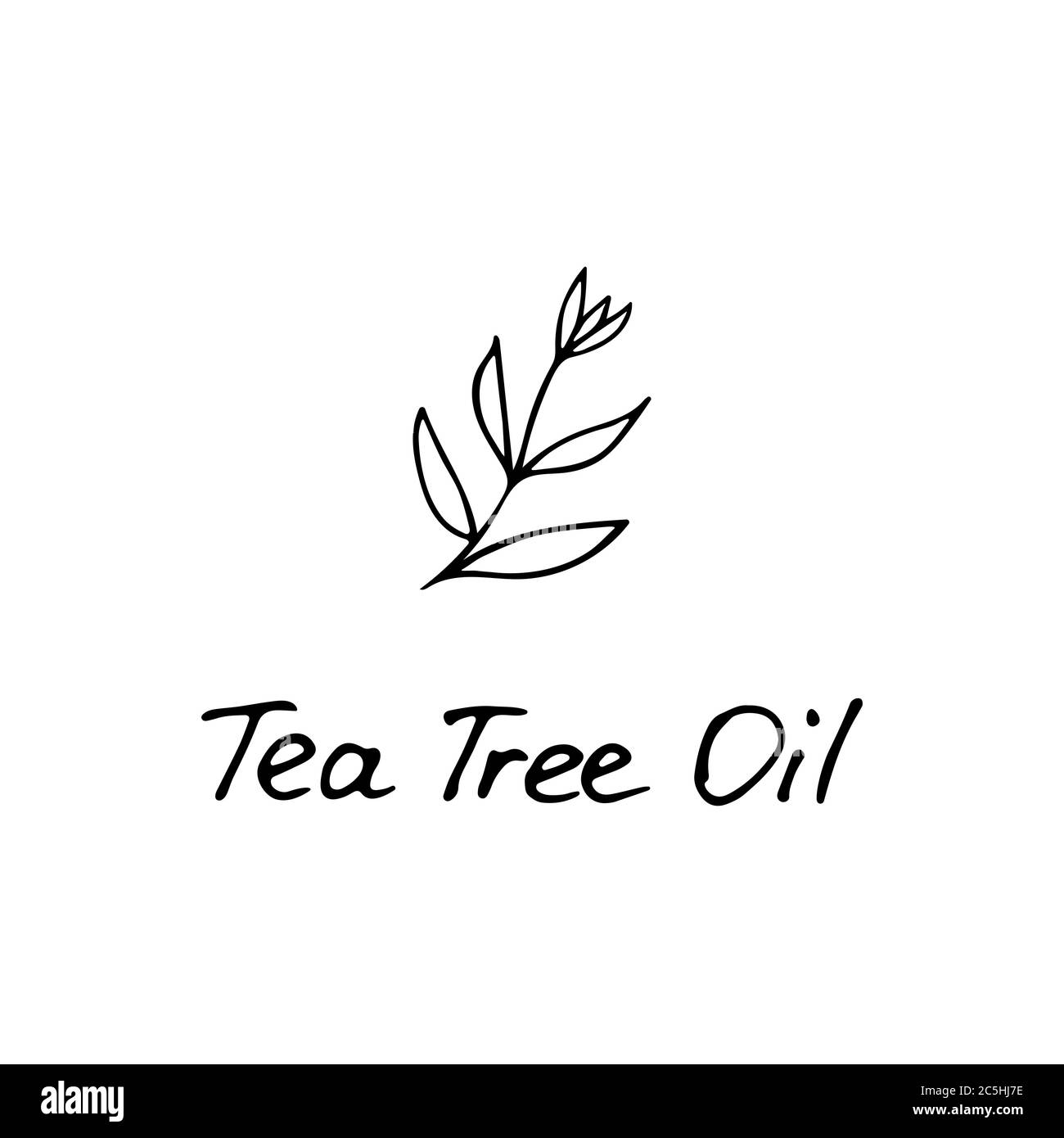 Tea Tree Plant. Cosmetic ingredient tea tree oil. Hand drawn icon for ...
