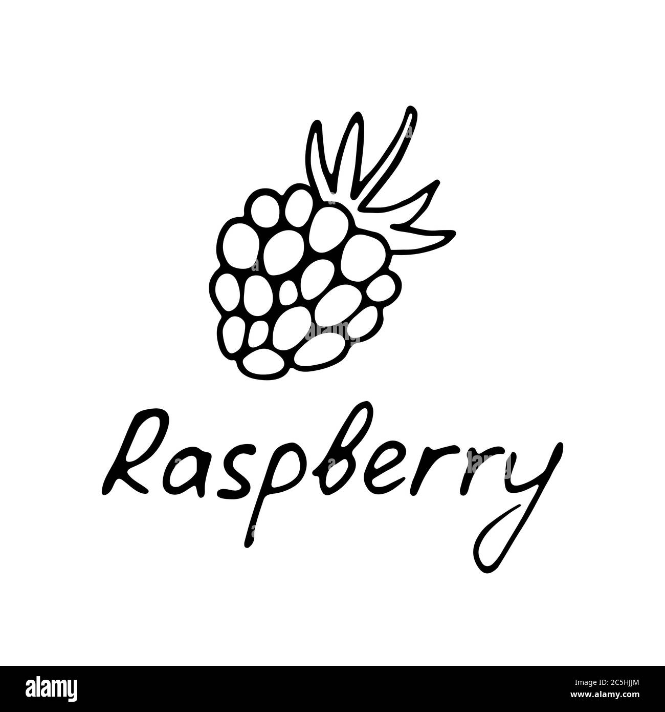 Hand drawn raspberry logo. Berry icon and raspberry inscription. Vector ...