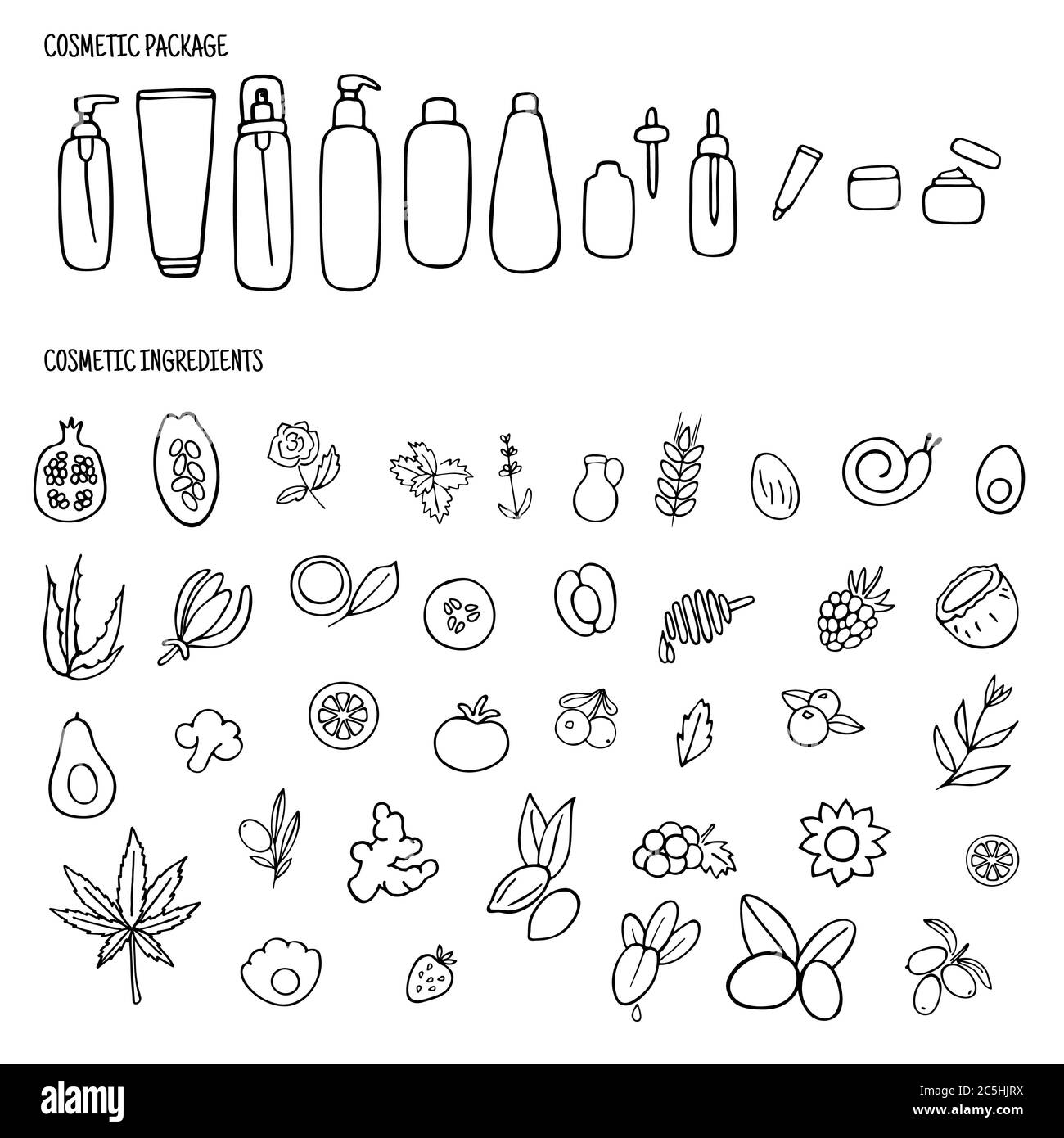 Organic cosmetics ingredients set for product packaging. Hand drawn ...