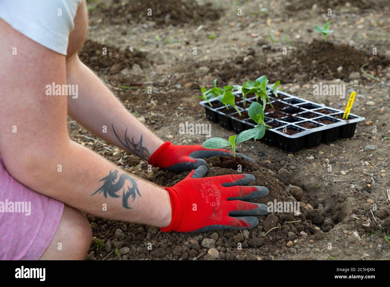 Mound planting hi-res stock photography and images - Alamy