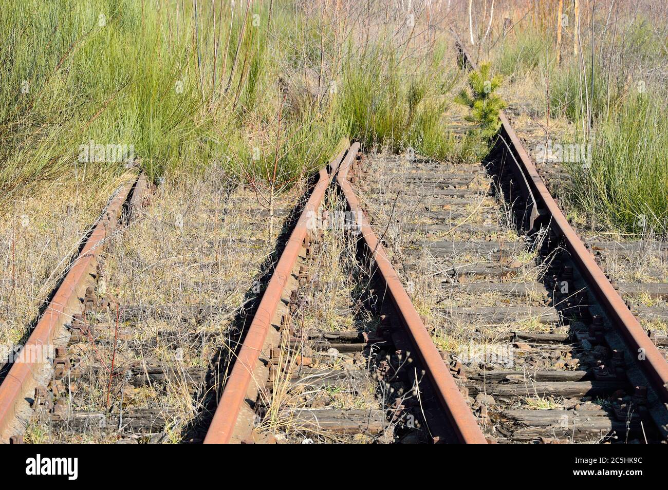 Railroad switches, locomotive and tracks. Train power supply design ...