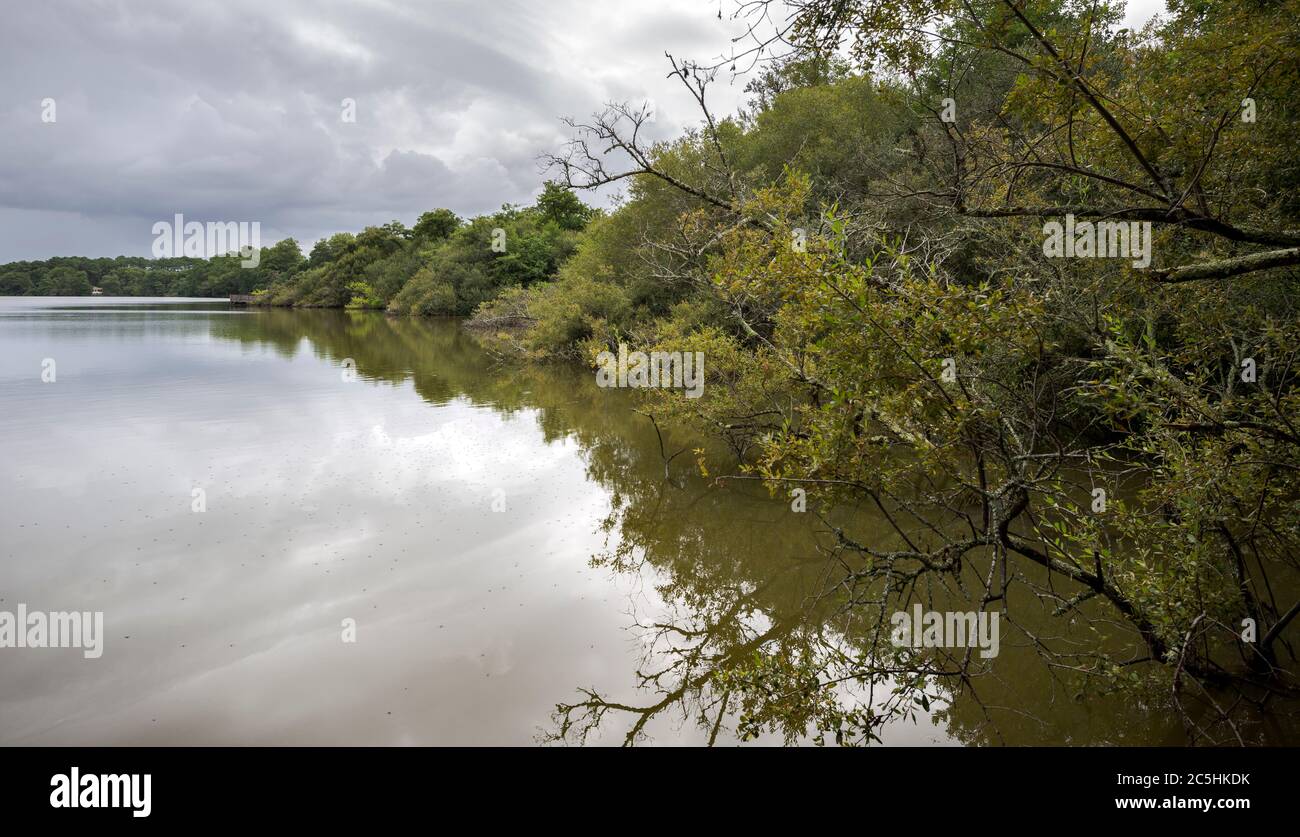 Etang noir hi-res stock photography and images - Alamy