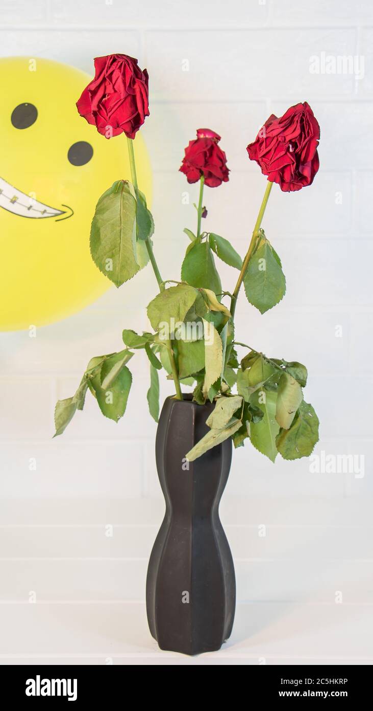 A smiling balloon on a background of old roses.Three wilted roses in a ...