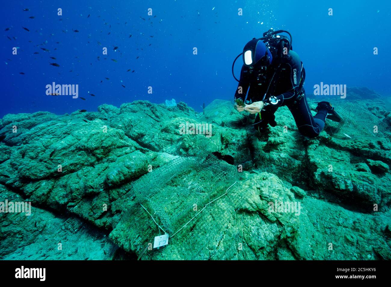 Underwater experiment hi-res stock photography and images - Alamy