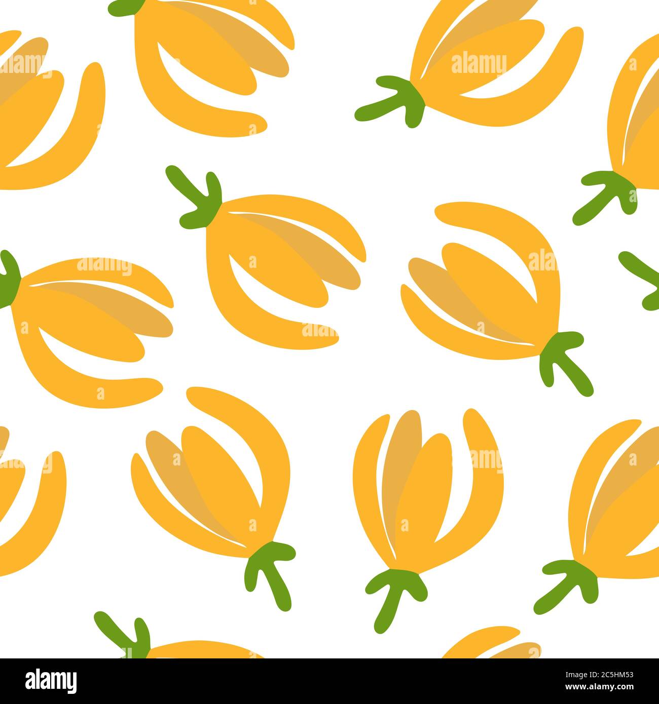 Tropical flower - ylang-ylang Cananga. Seamless pattern. Hand drawn ...