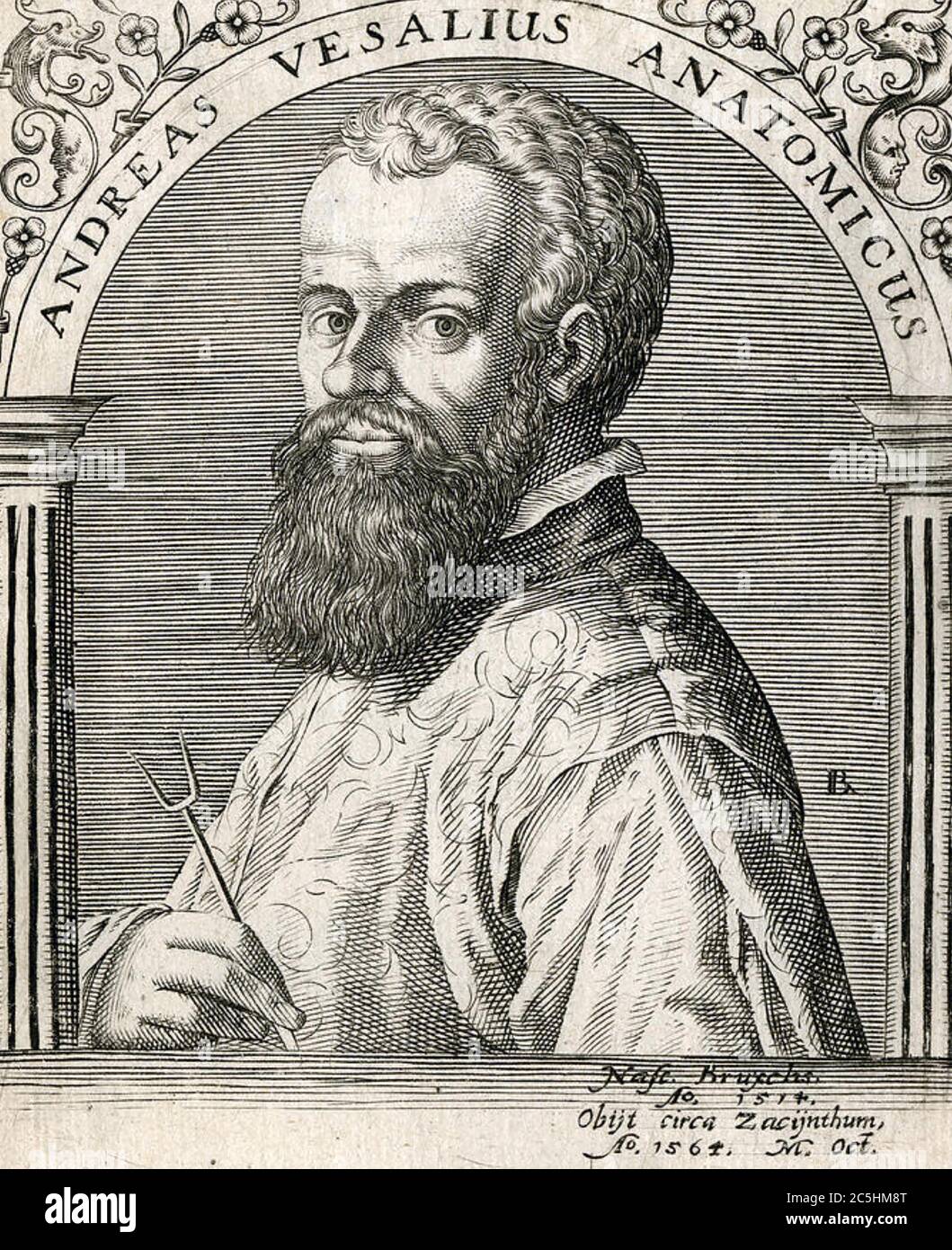 Andreas Vesalius Pictures