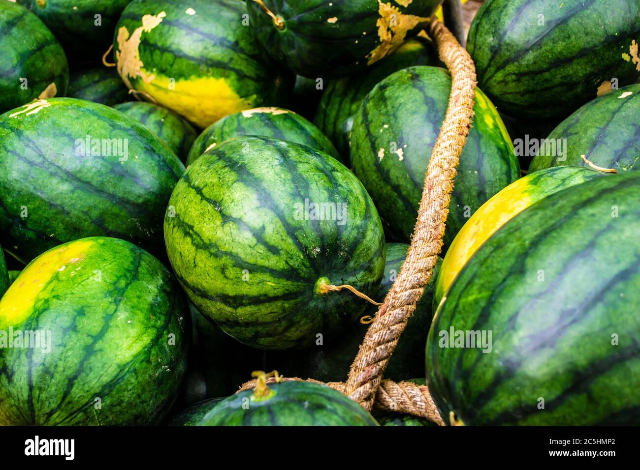 Closeup of whole green watermelons Stock Photo - Alamy