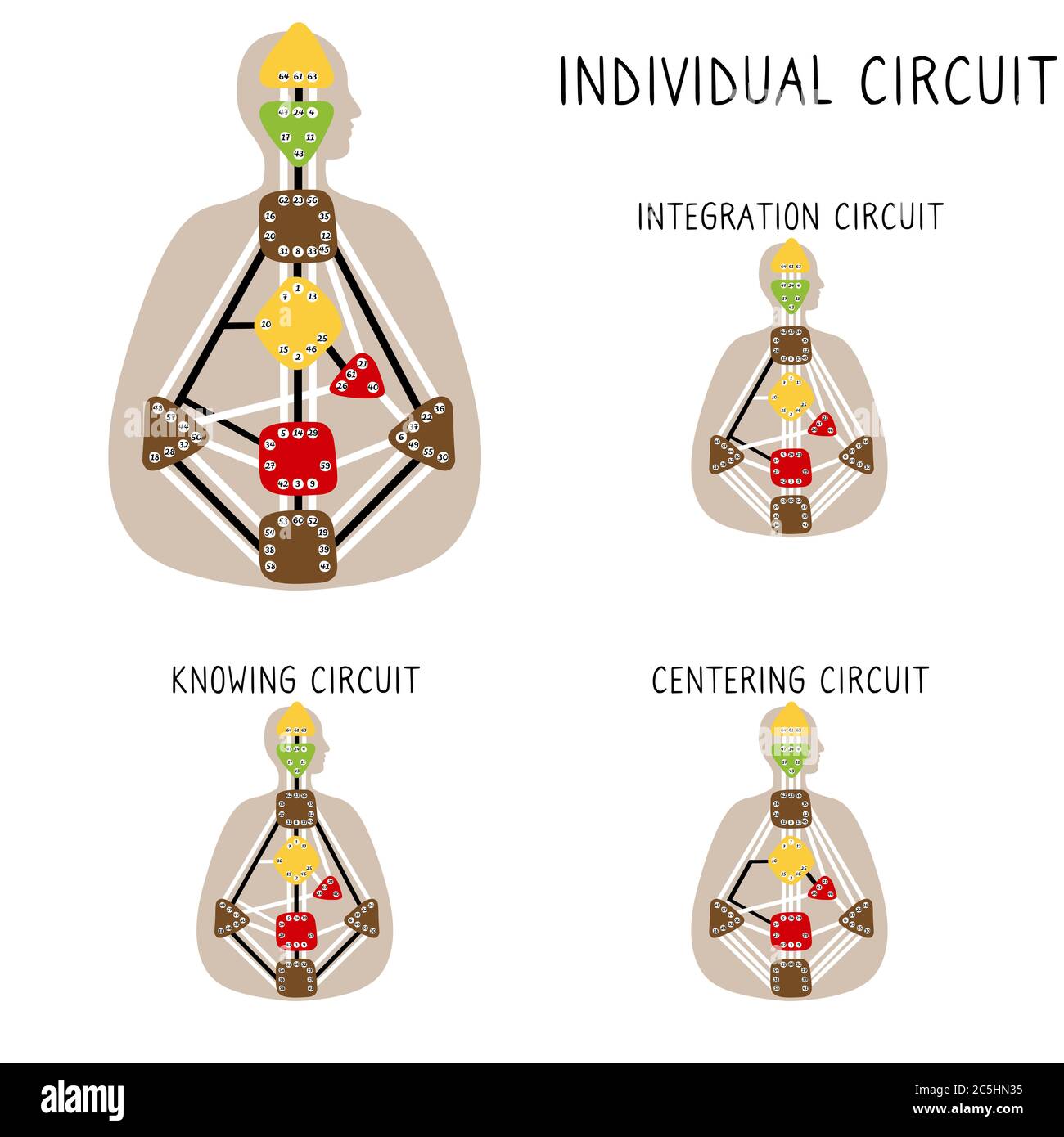 Individual Circuitry. Human Design BodyGraph. Hand drawn bodygraph ...